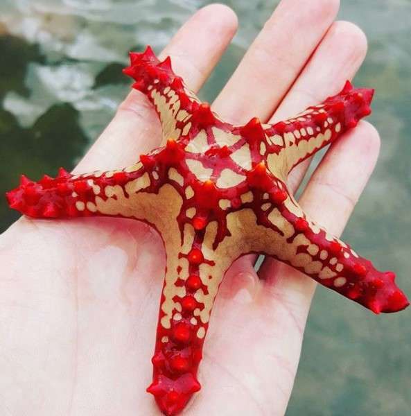 Villa Ukuthula in the Machangulo Private Nature Reserve