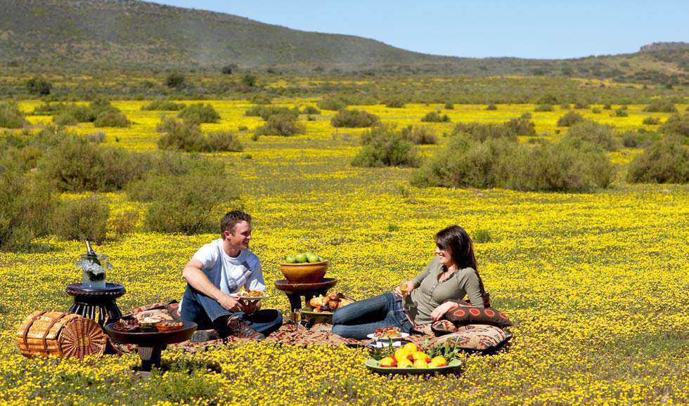 Bushmans Kloof Wilderness Reserve and Wellness Retreat