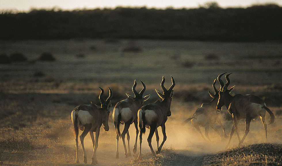 Bushmans Kloof Wilderness Reserve and Wellness Retreat