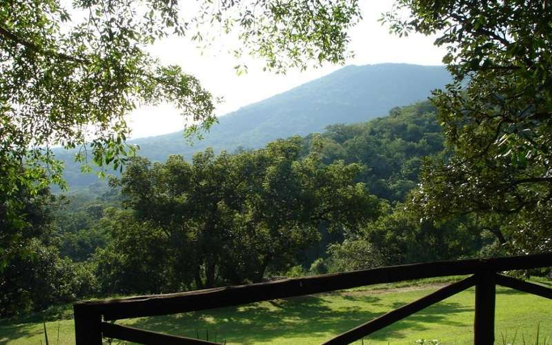 Chestnut Country Lodge, Hazyview, South Africa