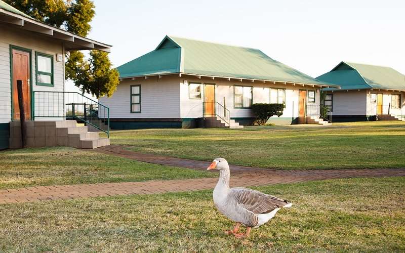 Forever Resorts Warmbaths, Bela-Bela, South Africa